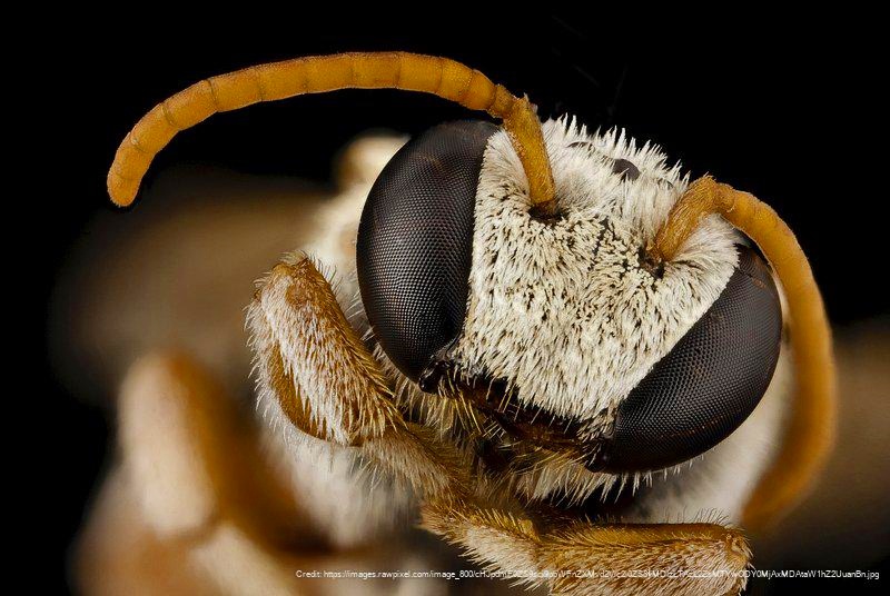 As Suwayq, Oman - trackstick