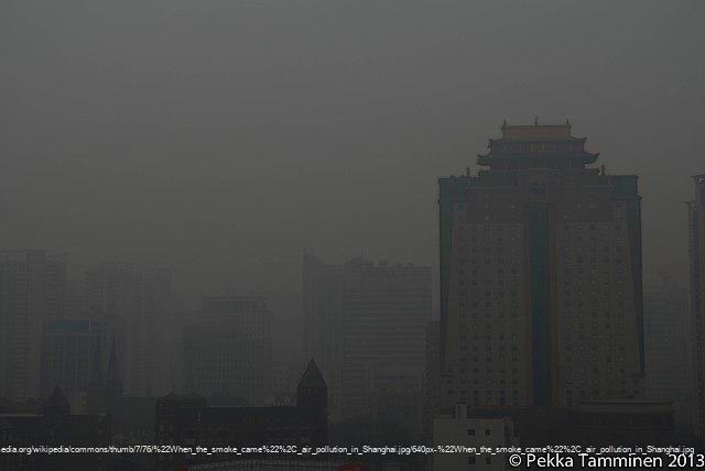 Ghorāhī, Nepal - trackstick