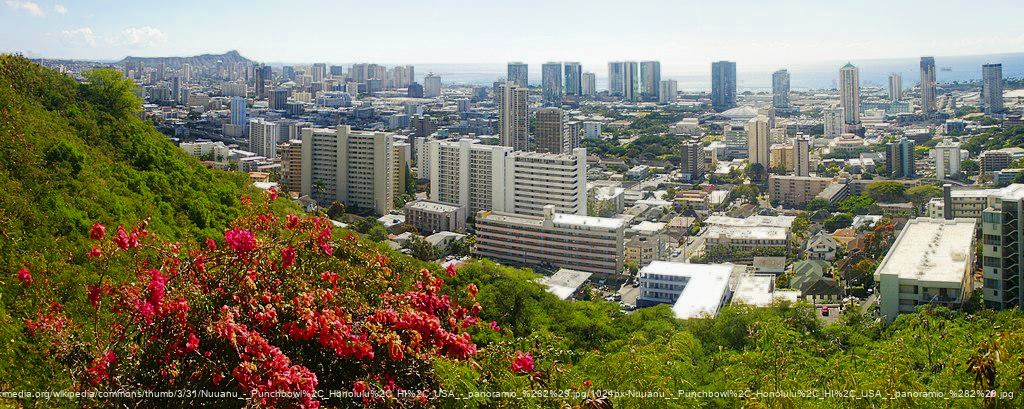 Honolulu, Hawaii - trackstick