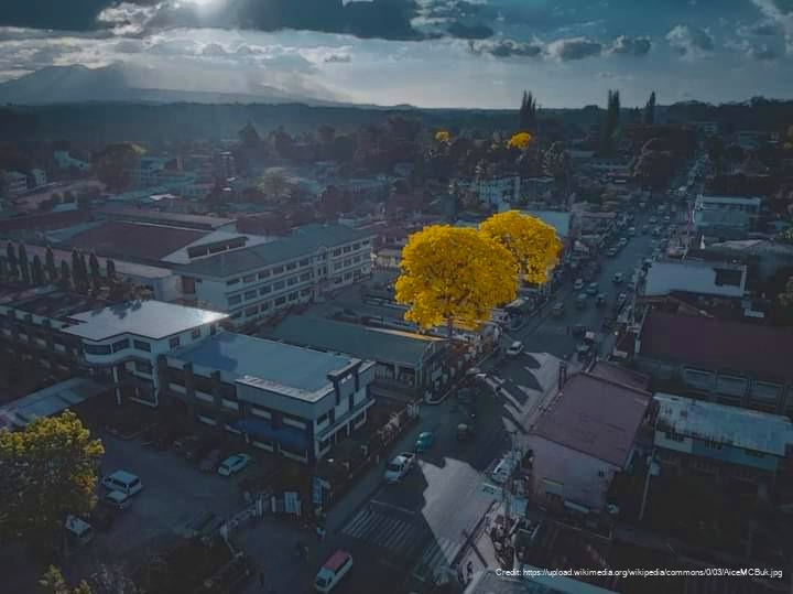 Malaybalay, Philippines - trackstick