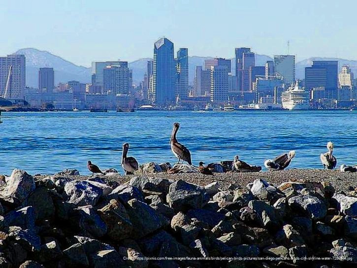 Molo, Kenya - trackstick