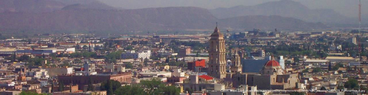 Saltillo, Mexico - trackstick