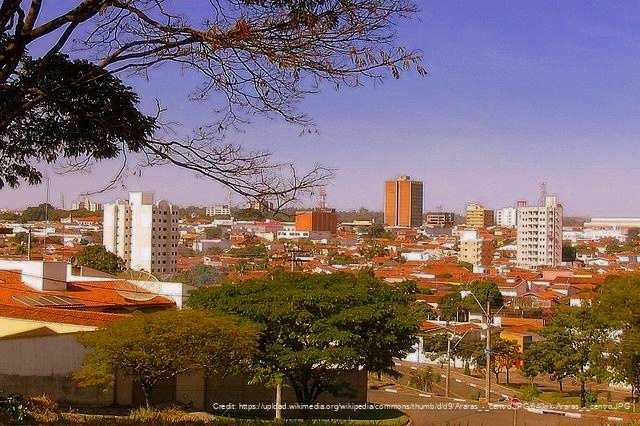 Giza, Egypt – trackstick