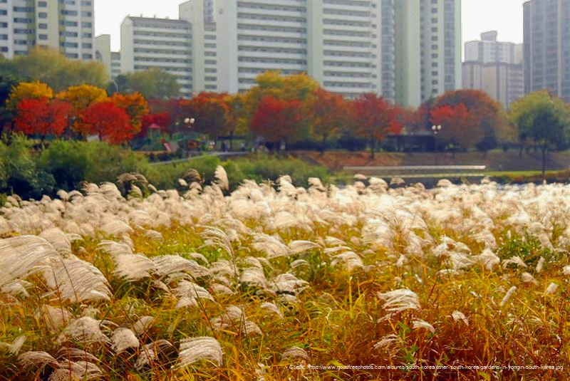 Miryang, South Korea - trackstick