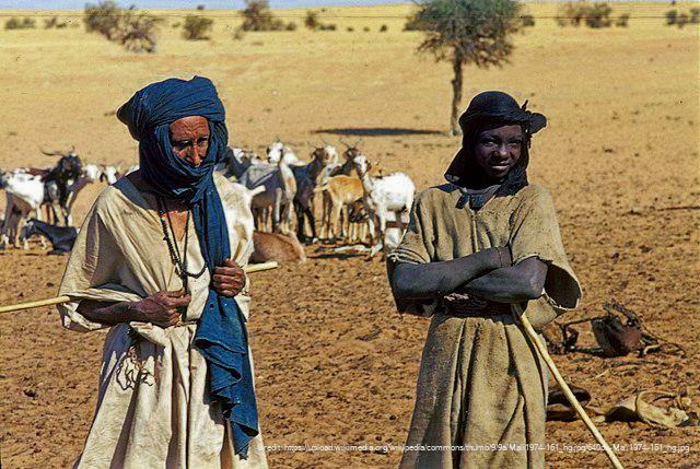 Kayes, Mali - trackstick