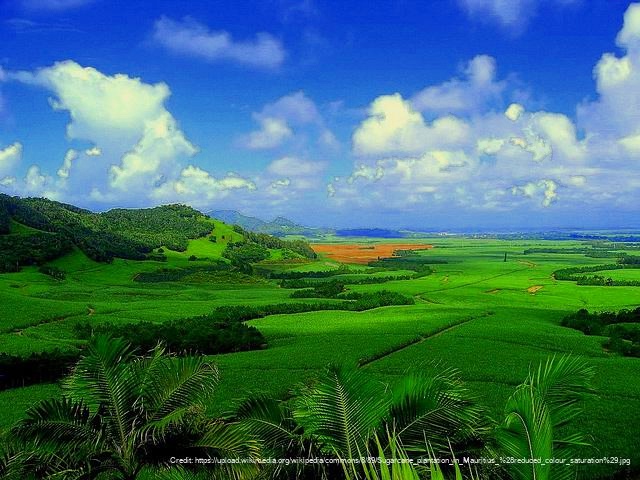 Quatre Bornes, Mauritius - trackstick